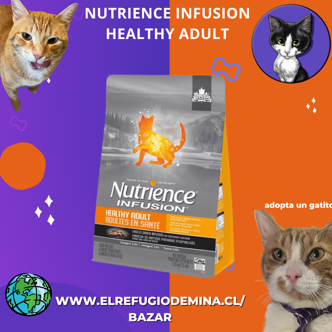 Nutrience infusion healthy adult 5 kg