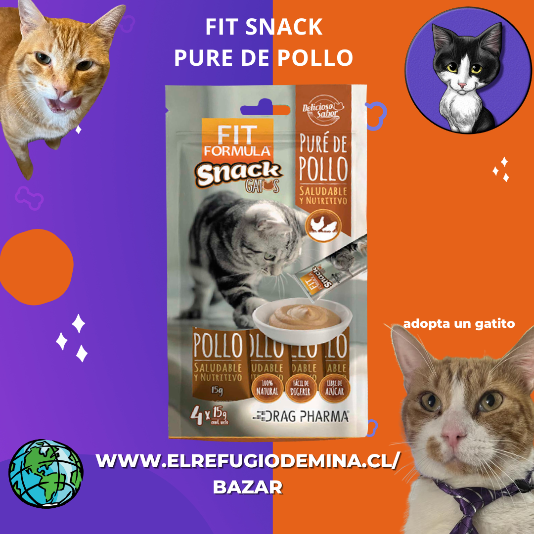 Fit snack puré de pollo