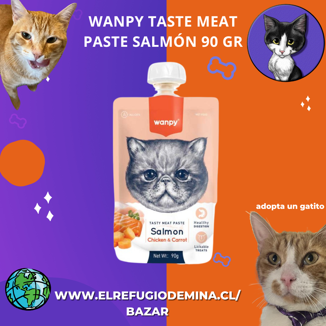 Wanpy taste meat paste salmón 90 gr
